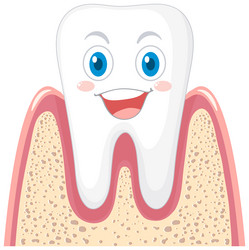 Strong tooth cartoon Royalty Free Vector Image