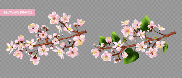 Peach Tree Vector Images (over 2,100)