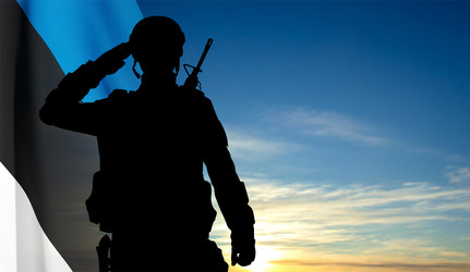 Police Camouflage Background Vector Images (over 1,000)