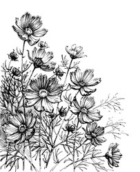 Floral background in spring colors flowers Vector Image