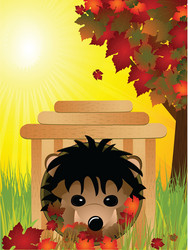 Hedgehog House Vector Images (over 330)