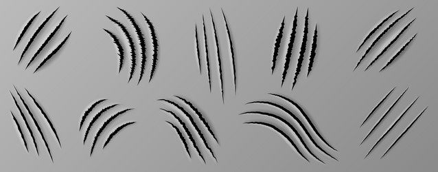 Lion Scratch Vector Images (over 770)