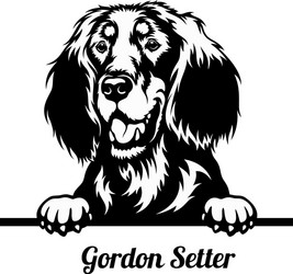 Gordon Vector Images (95)