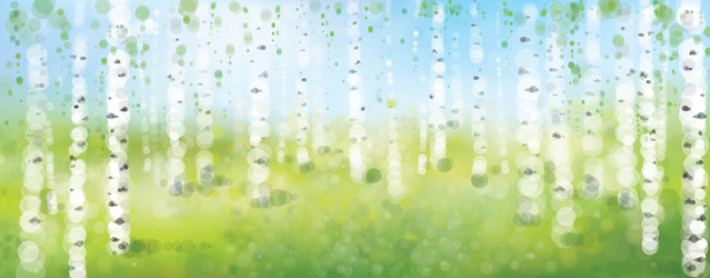 Spring birch forest Royalty Free Vector Image - VectorStock