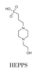Hepes buffering agent molecule skeletal formula Vector Image
