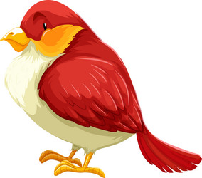 Red bird Royalty Free Vector Image - VectorStock
