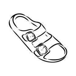 Strap sandal outline drawing Royalty Free Vector Image