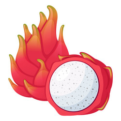 Cartoon fresh red dragon fruit isolated on white Vector Image