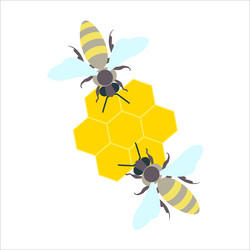 Bees Teamwork Vector Images (over 140)