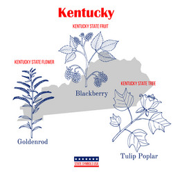 Kentucky set usa official state symbols Royalty Free Vector