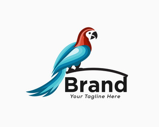 Flying colors parrots logo design inspiration Vector Image