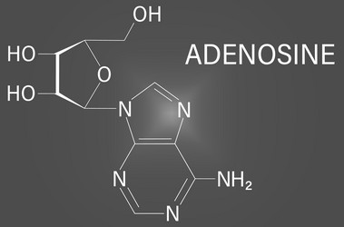 Adenosine Vector Images (over 170)