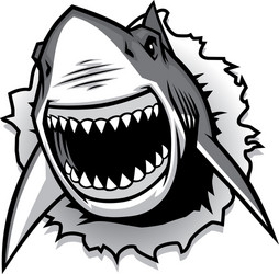 Shark Jaws - Open Mouth Royalty Free Vector Image