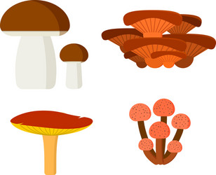 Different Types of Fungi Drawing Isolated Vector Images (36)