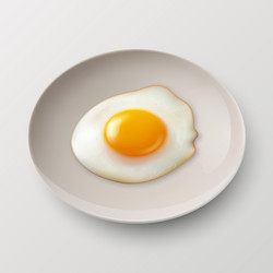 One fried egg symbol healthy food Royalty Free Vector Image