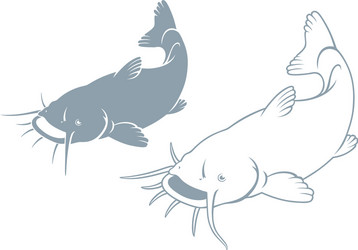 Catfish Vector Images (over 2,200)