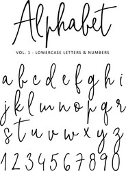 Hand drawn alphabet script font isolated Vector Image