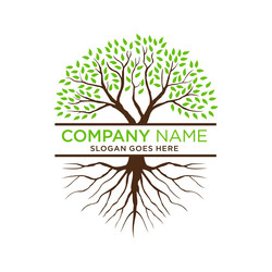 Tree of Knowledge Logo Vector Images (over 2,200)