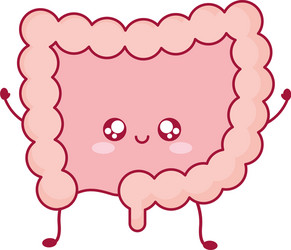 Bowel Cute Colon Vector Images (95)
