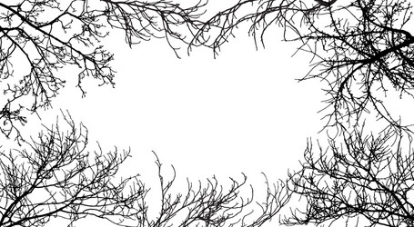 Tree Silhouette Border Vector Images (over 8,200)