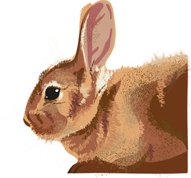 Bunny Side View Vector Images (over 140)