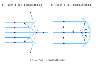 Convex and concave lens diagrams Royalty Free Vector Image