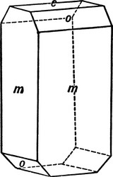 Urea cycle Royalty Free Vector Image - VectorStock