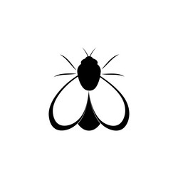 Insect fly icon logo Royalty Free Vector Image
