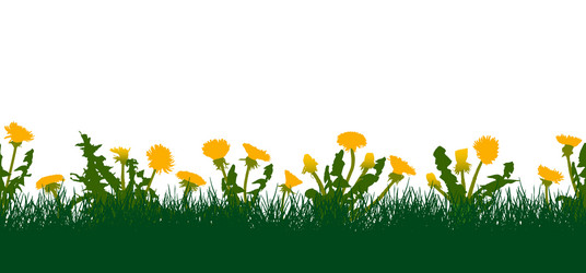 Spring grass seamless border floral Royalty Free Vector