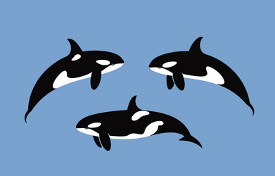Set killer whales collection stylized orca Vector Image