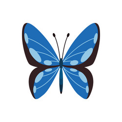 Exotic color butterfly hand drawn moth wings Vector Image