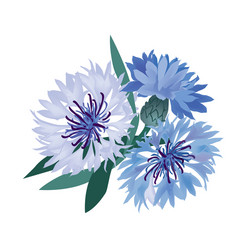 Floral background in spring colors flowers Vector Image