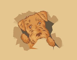 Sad stray dog cute in a cardboard box Royalty Free Vector