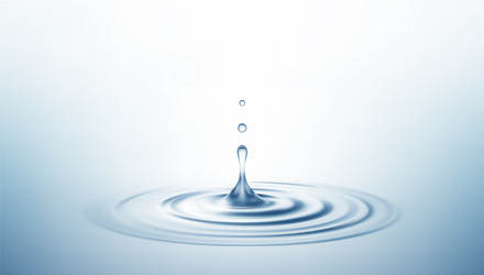Water drop splash with ripples circle waves Vector Image