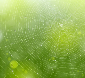 Dewi Vector Images (over 100)