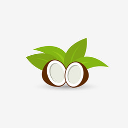 Coconut Shell Logo Vector Images (over 430)