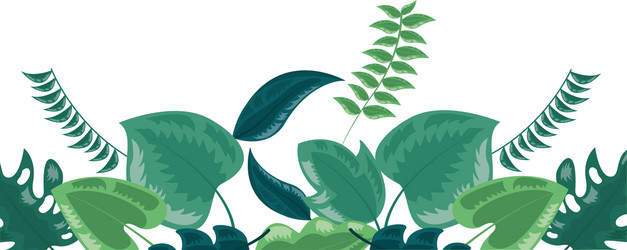 Nature Border Vector Images (over 160,000)