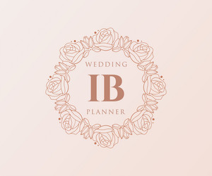 Ib initials letter wedding monogram logos Vector Image