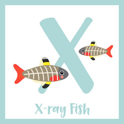 X-Ray Word Vector Images (over 140)