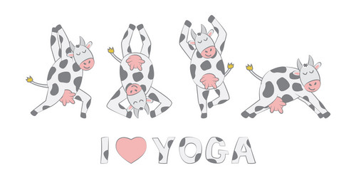 Cow Exercising Vector Images (over 370)