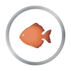 Discus fish icon cartoon singe aquarium Royalty Free Vector