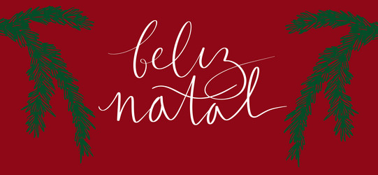 Merry christmas in portuguese feliz natal Vector Image