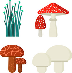 Different Types of Fungi Drawing Isolated Vector Images (36)
