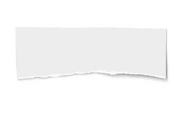 Paper Tear Vector Images (over 7,600)