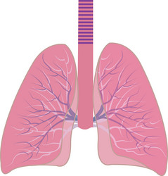 Human lungs with alveoli cartoon design Royalty Free Vector