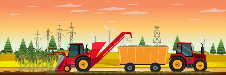 Farm harvesting sugar cane Royalty Free Vector Image