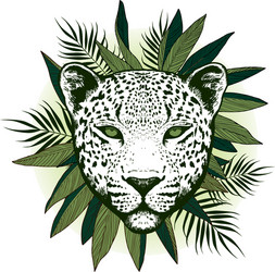 Graphical leopard head Royalty Free Vector Image
