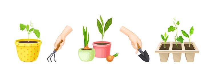 Hand holding garden shovel and cultivating soil Vector Image