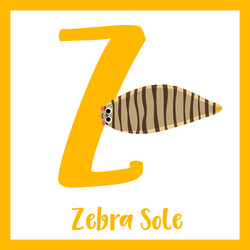 Sole Flatfish Fish Vector Images (75)