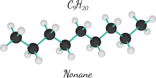 C9h20 Alkane Nonane Vector Images (3)